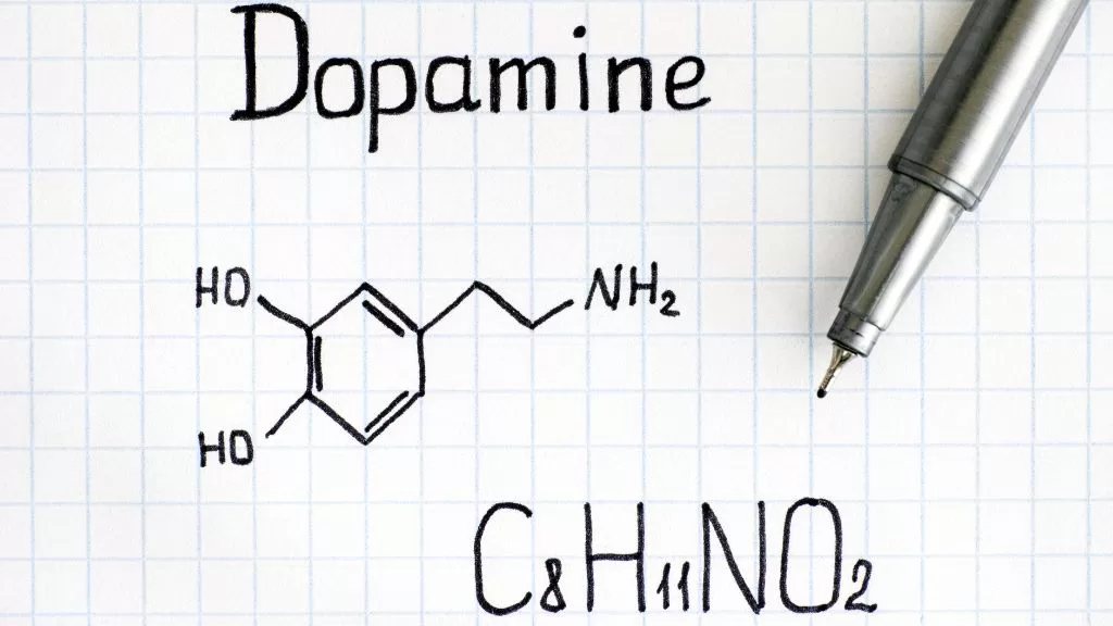 Dopamina – co to jest? Naturalne sposoby na podniesienie dopaminy ...