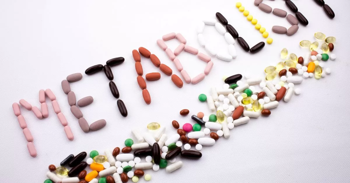 Hormony: Rola hormonów w regulacji metabolizmu i masy ciała – Krystian ...